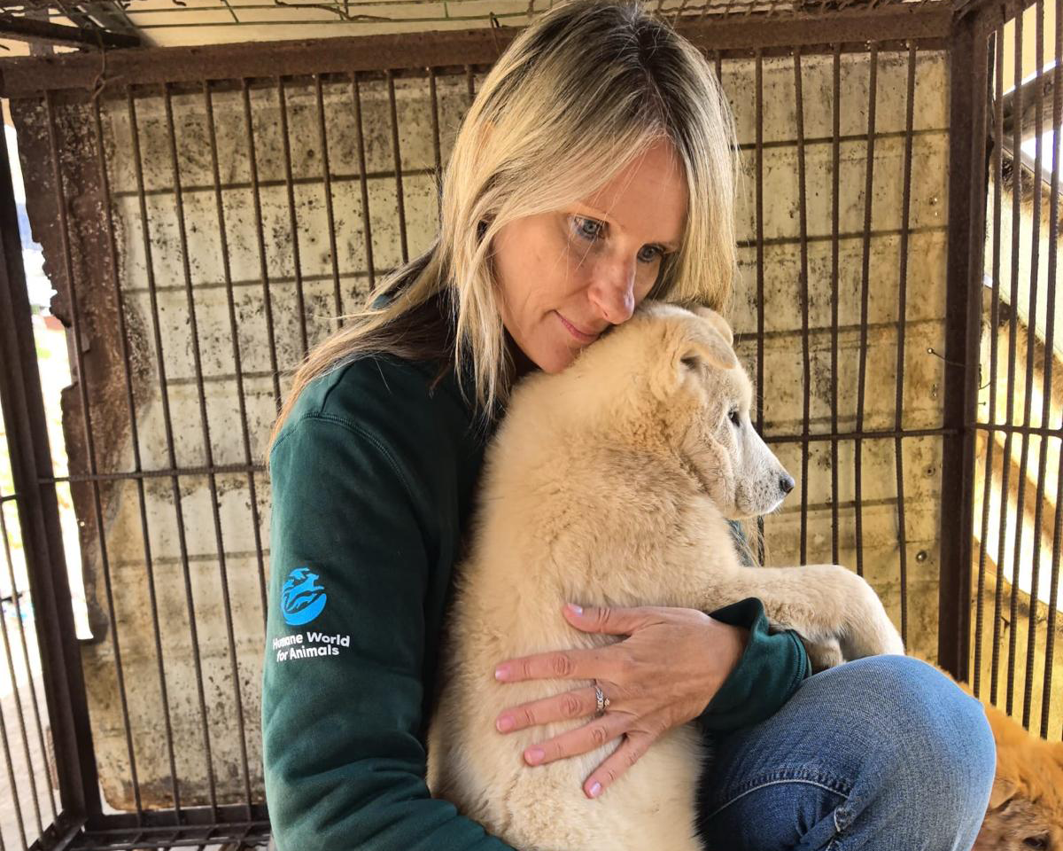 Global donate - Humane World for Animals