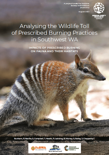 Analysing the Wildlife Toll of Prescribed Burning Practices in ...