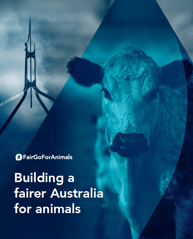 Stronger Animal Welfare Laws - Humane World for Animals