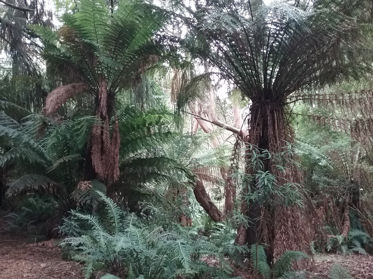 Fort Runi - Humane World for Animals