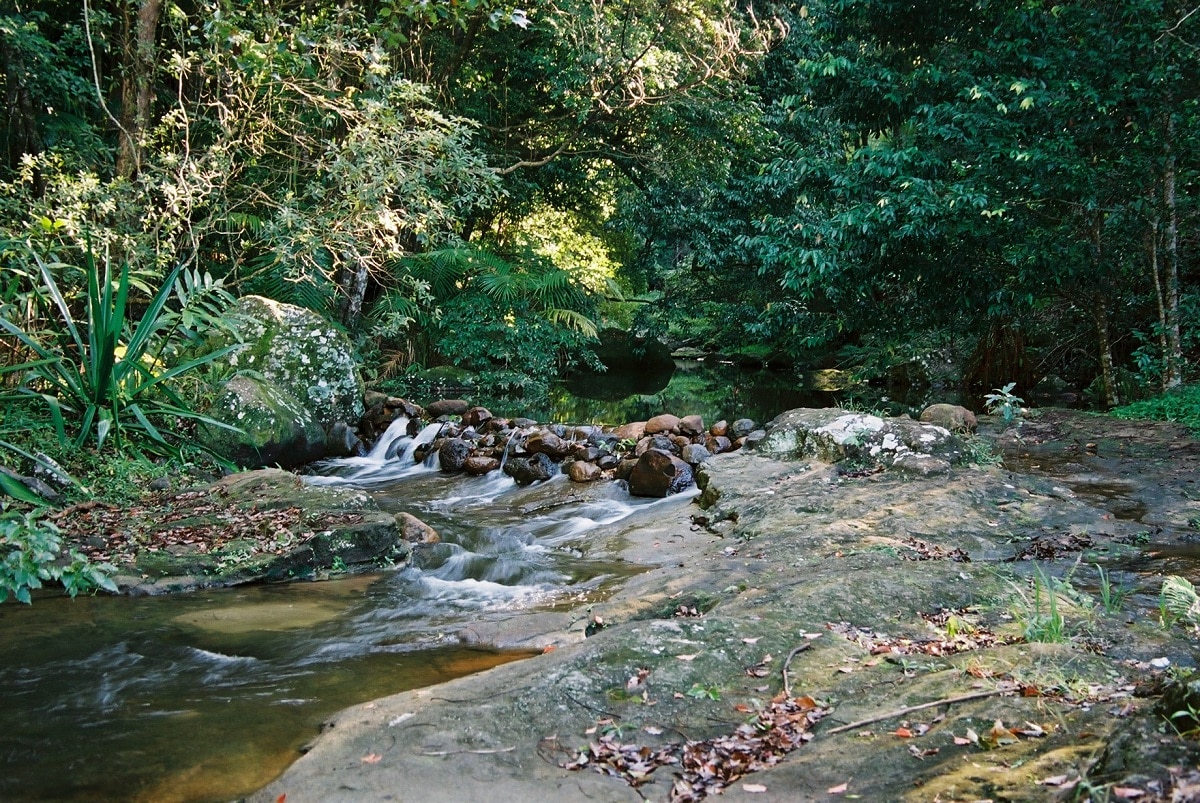 Rous Sanctuary - Humane World for Animals