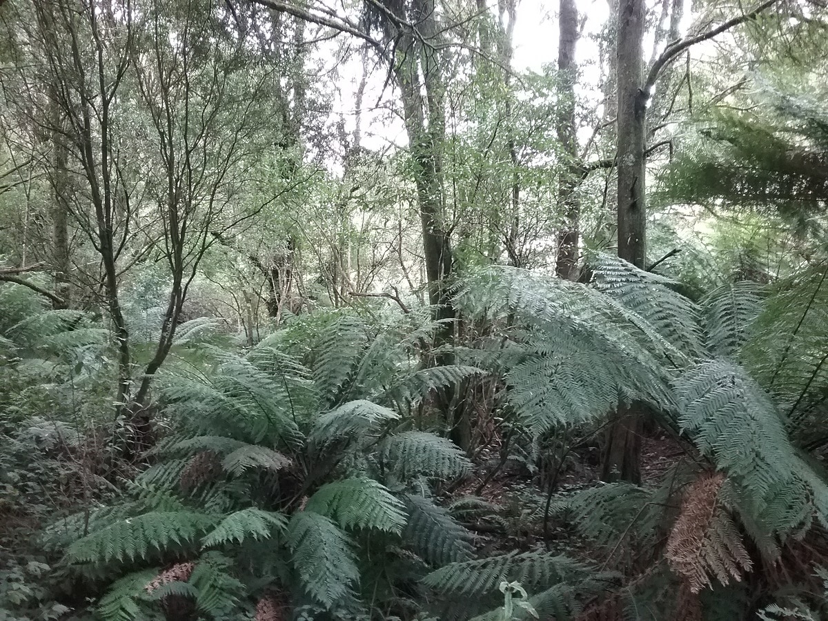 Fort Runi - Humane World for Animals