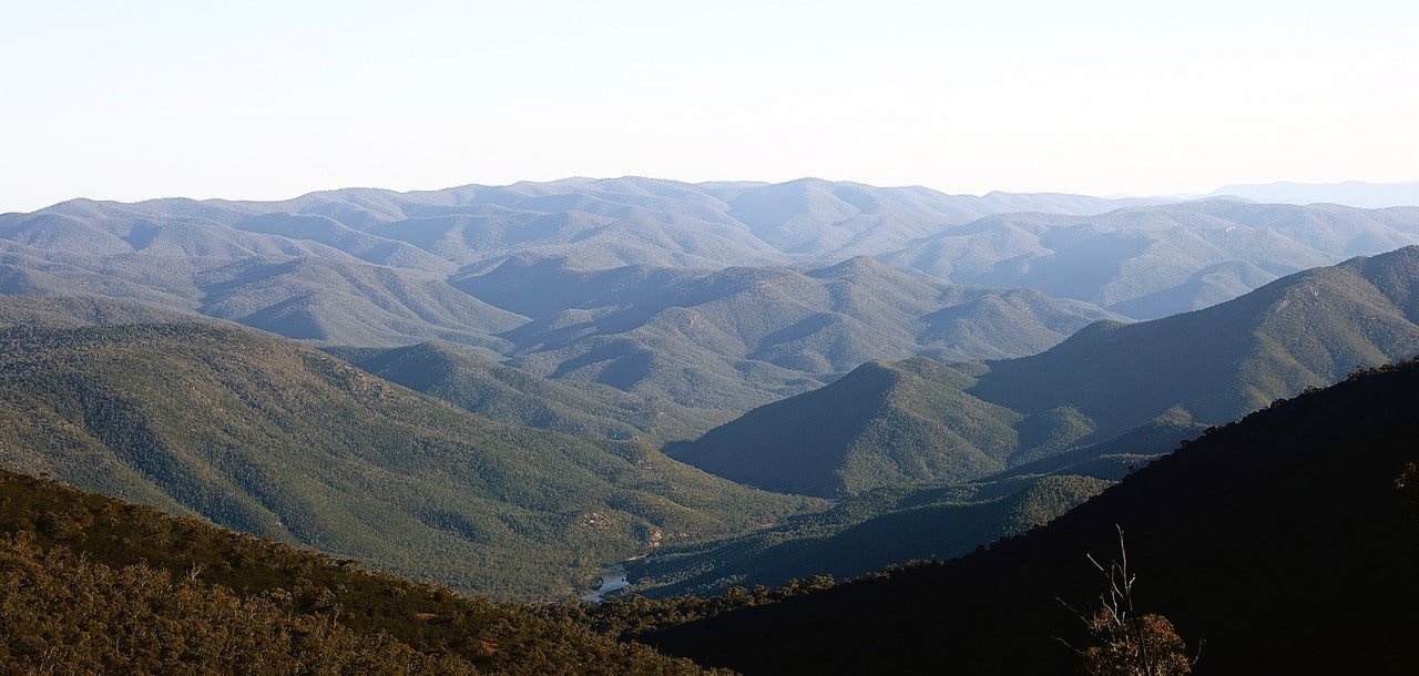 Box Ridge - Humane World for Animals