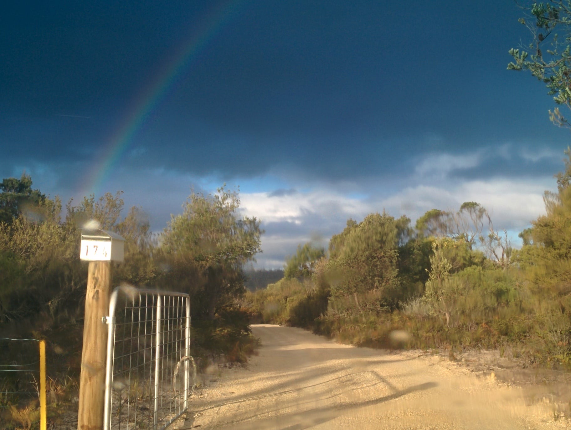 Gathering Moss - Humane World for Animals