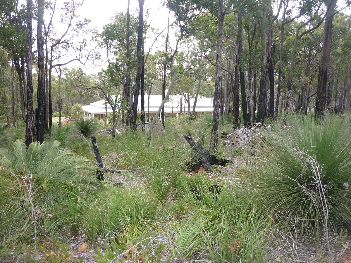 Cheryl and Rob's Refuge - Humane World for Animals