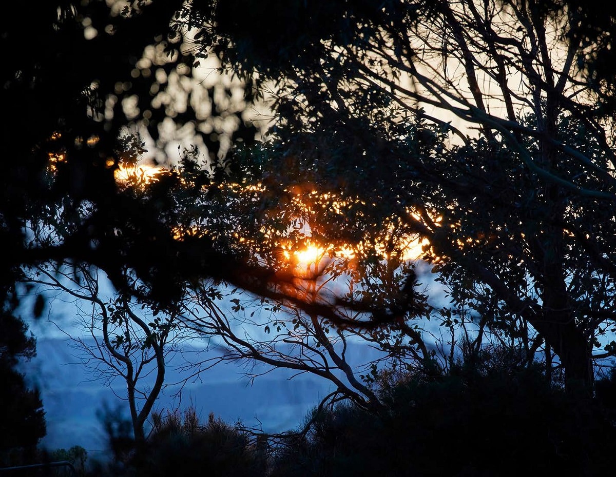 Ngara - Humane World for Animals