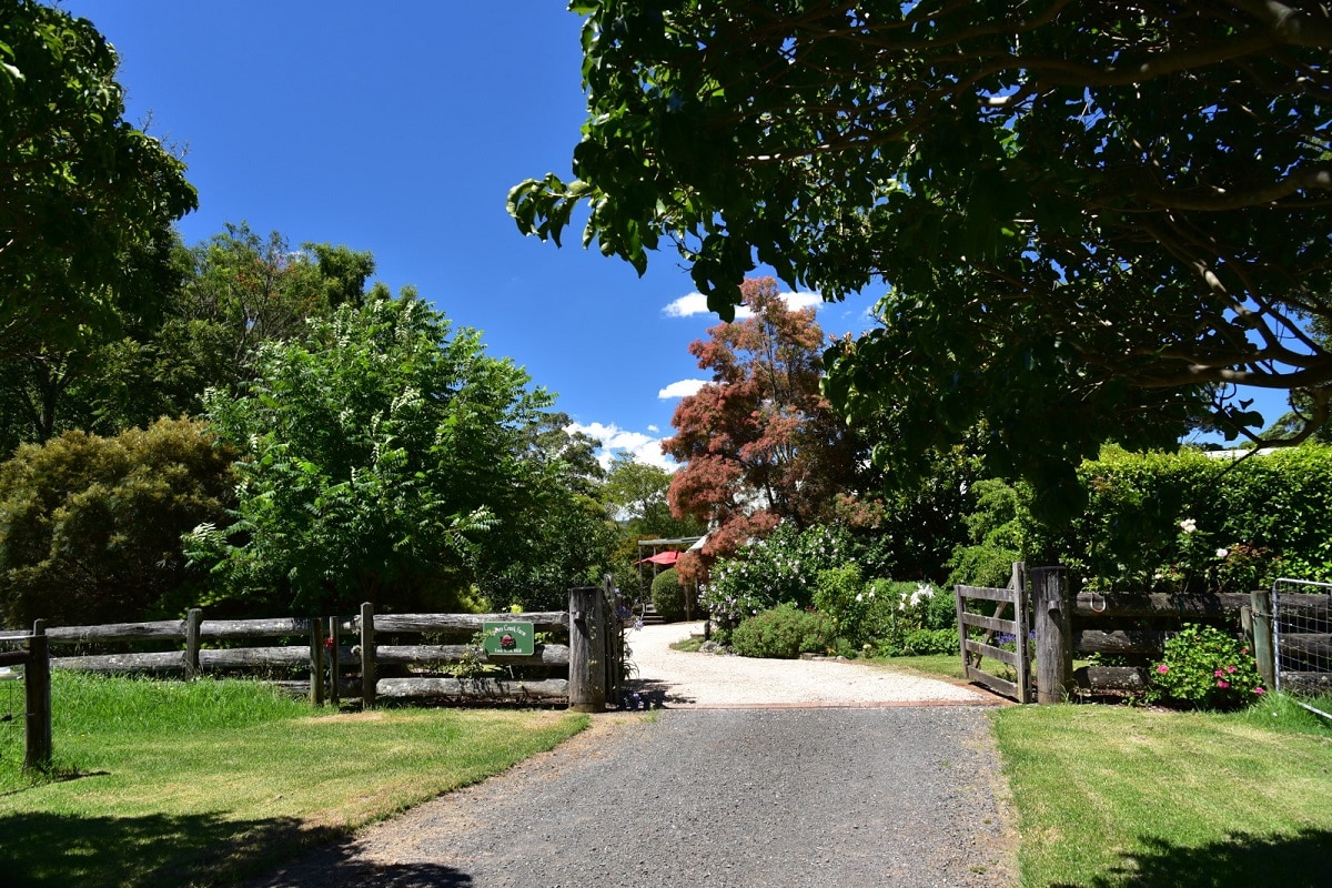 Ryders Creek Farm - Humane World for Animals Australia