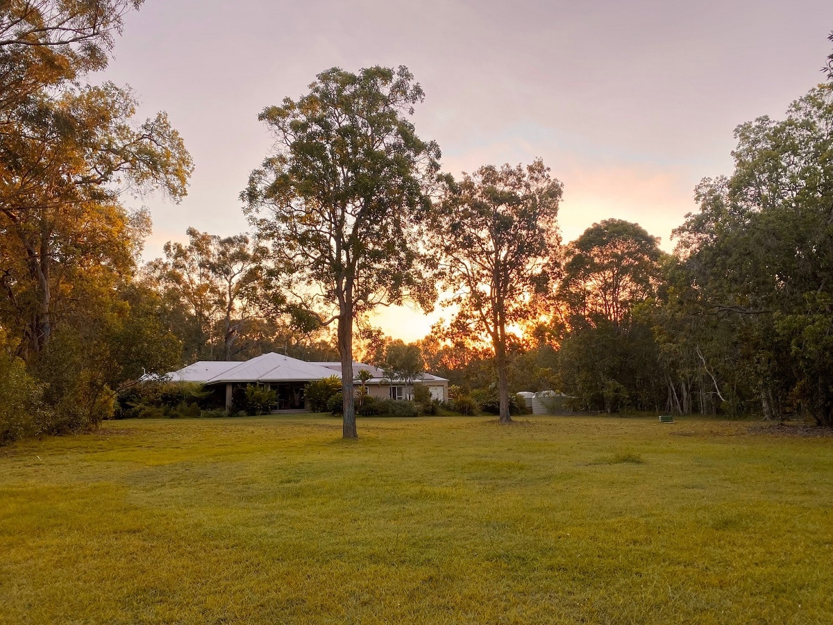 The Beet Retreat - Humane World for Animals