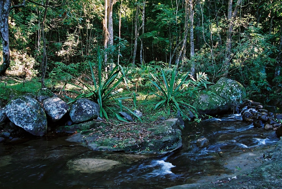 Rous Sanctuary - Humane World for Animals