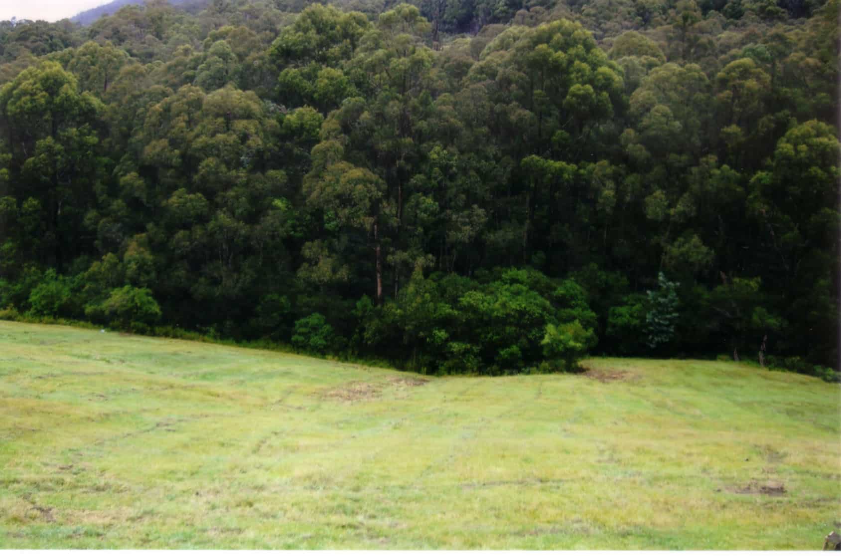 Furry Angels Refuge - Humane World for Animals