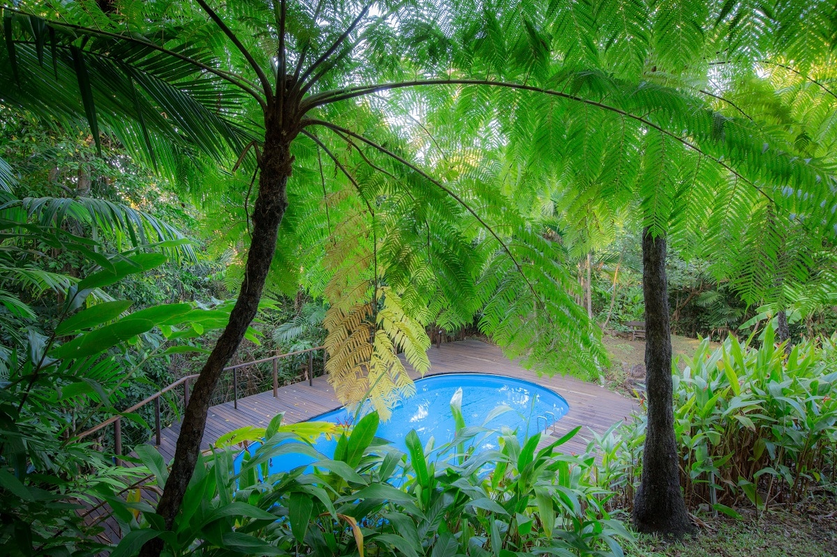 Sanctuary Retreat - Humane Society International (HSI)