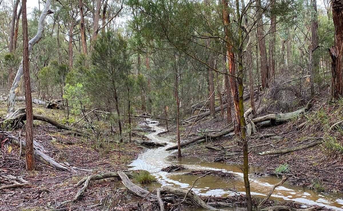 The Styx - Humane World for Animals