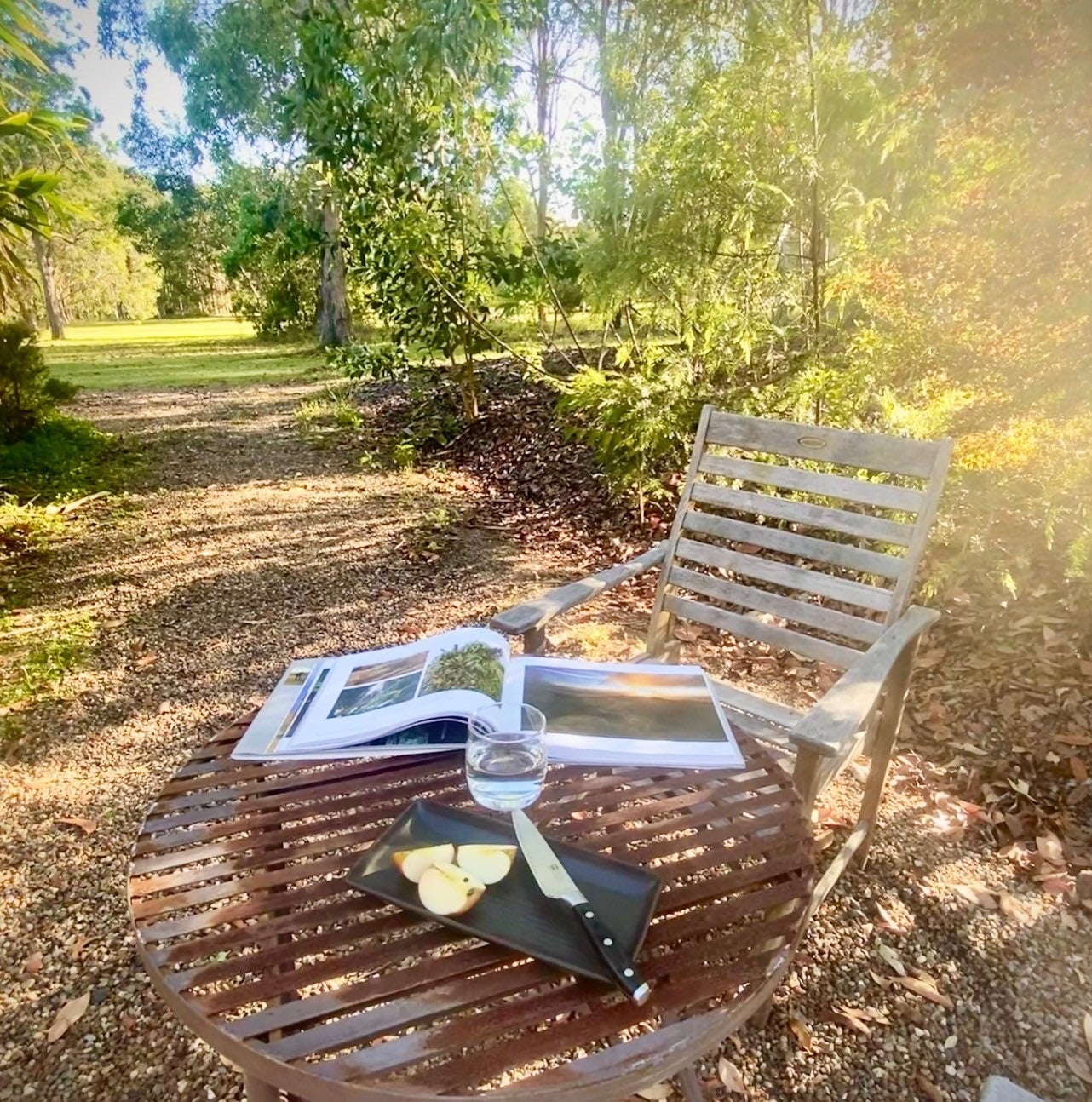 The Beet Retreat - Humane World for Animals