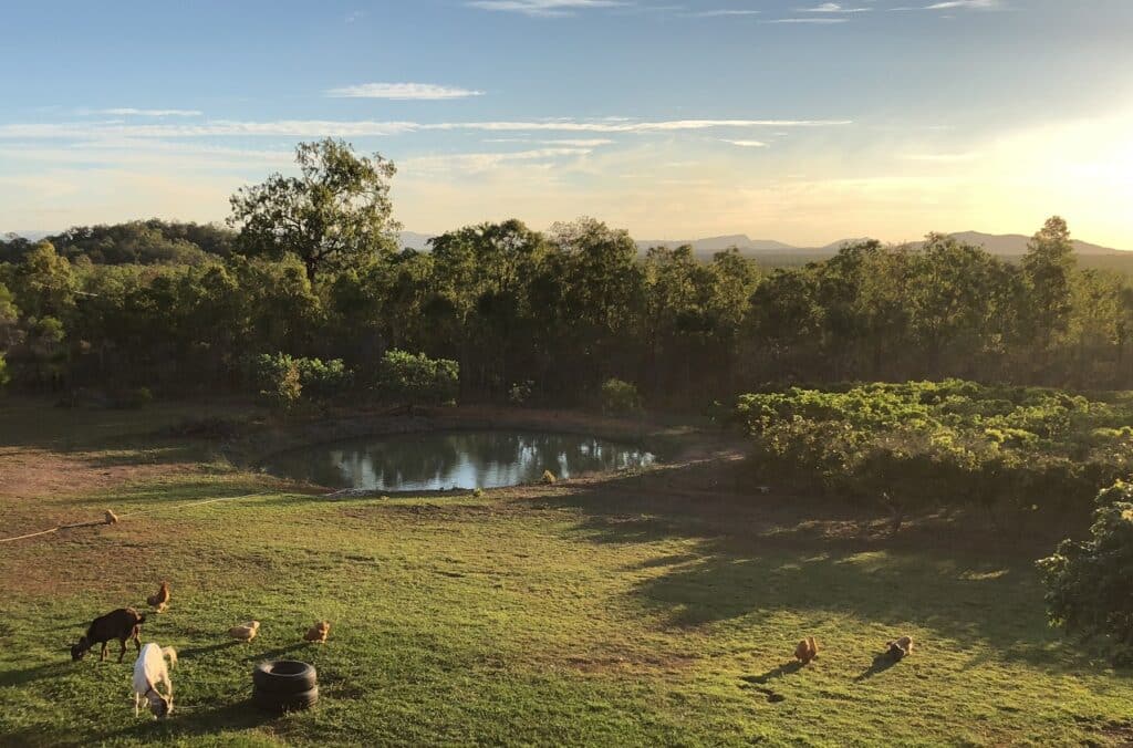 Bird's Heaven Mareeba - Humane Society International (HSI)