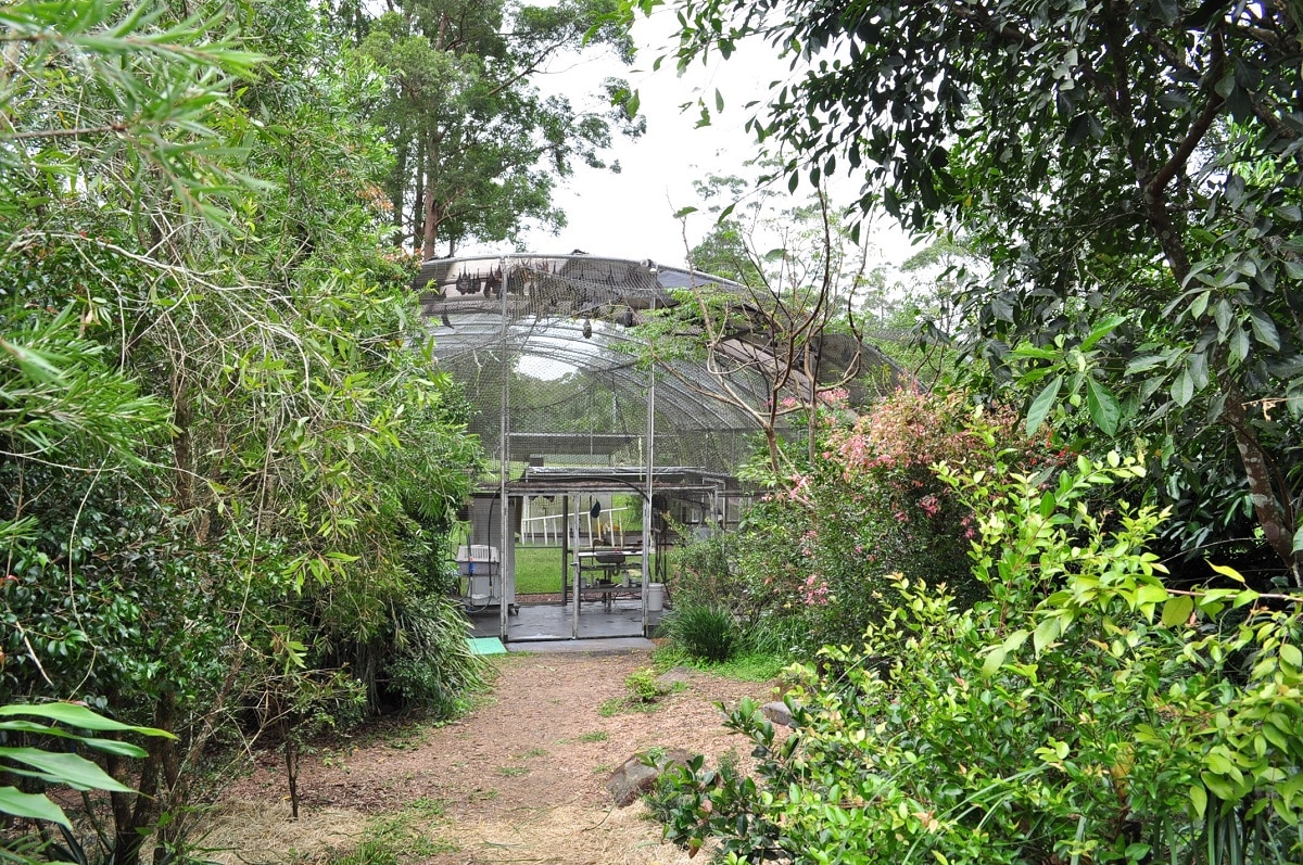 The Bat Hospital - Humane World for Animals