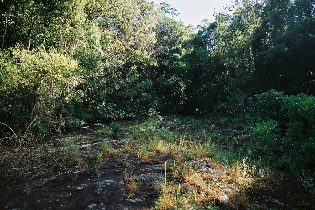 Rous Sanctuary - Humane World for Animals