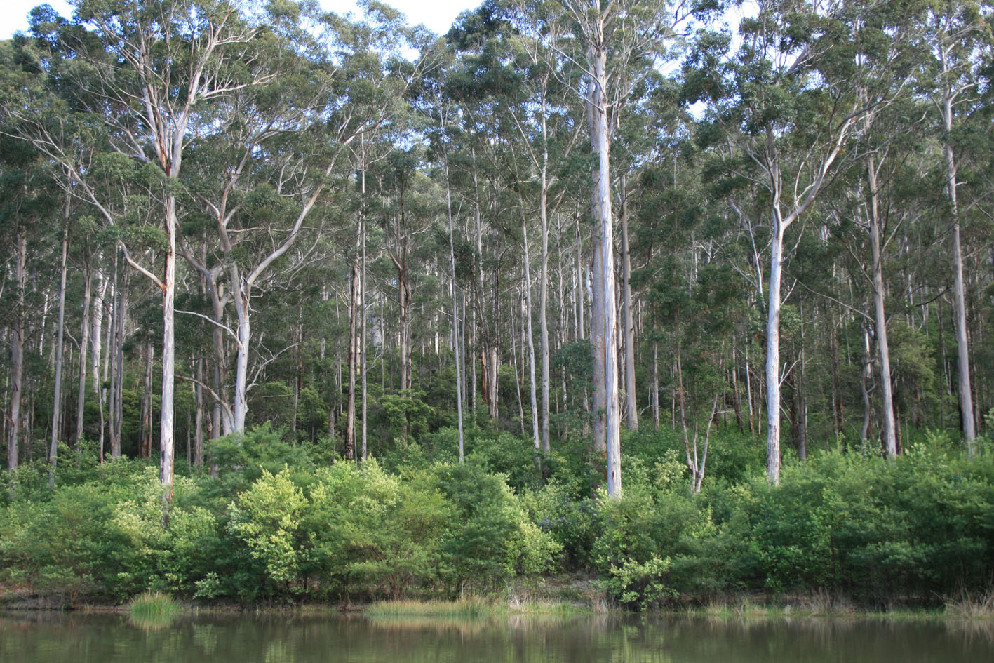 Russell and Anne's Refuge - Humane World for Animals