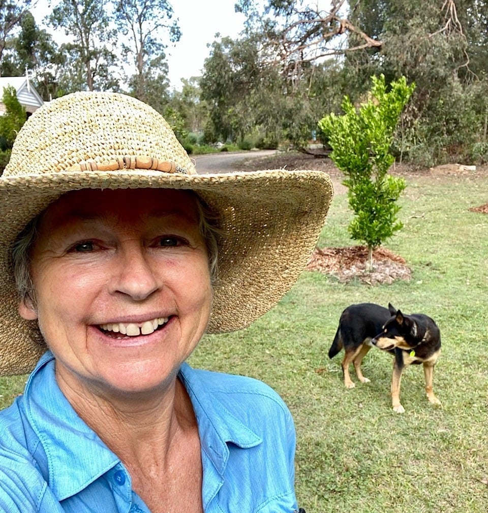 The Beet Retreat - Humane Society International (HSI)