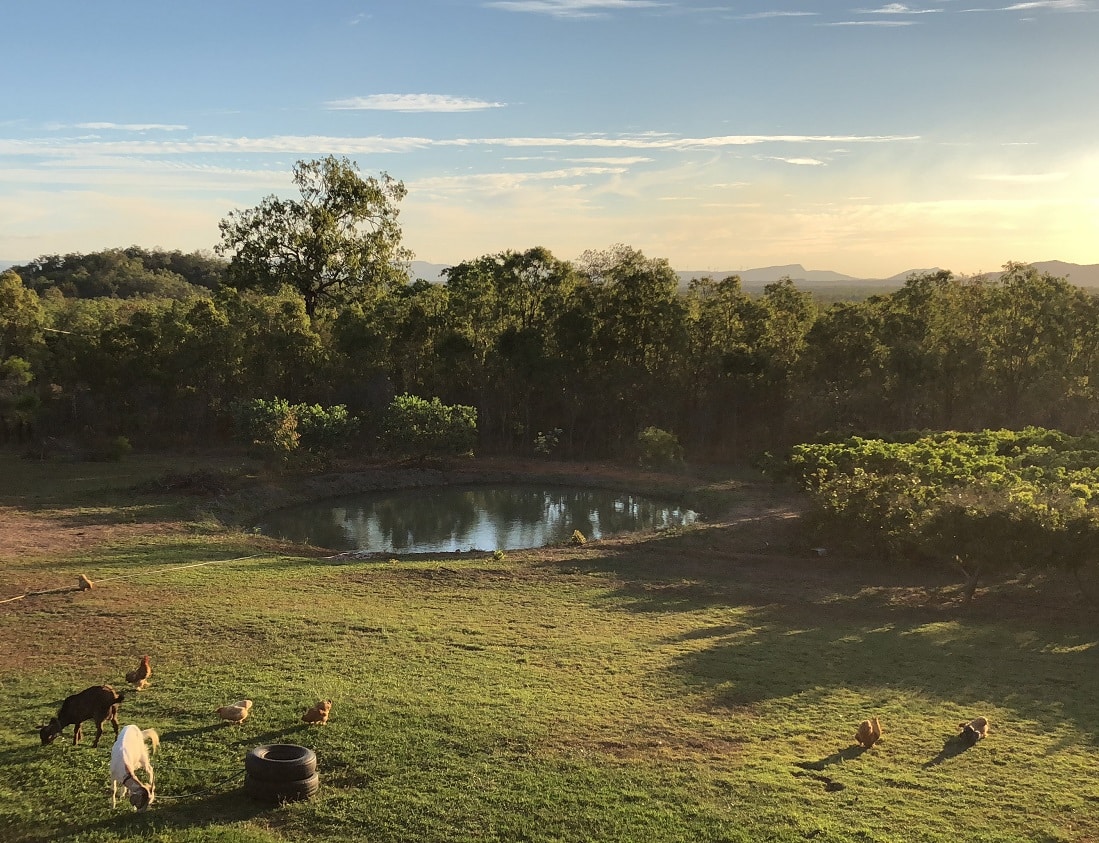Bird's Heaven Mareeba - Humane World for Animals Australia