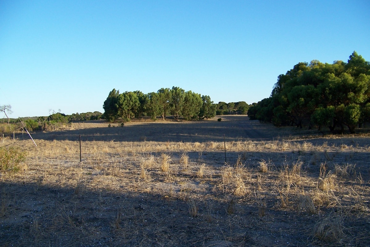 Jenny and Pat's Refuge - Humane World for Animals