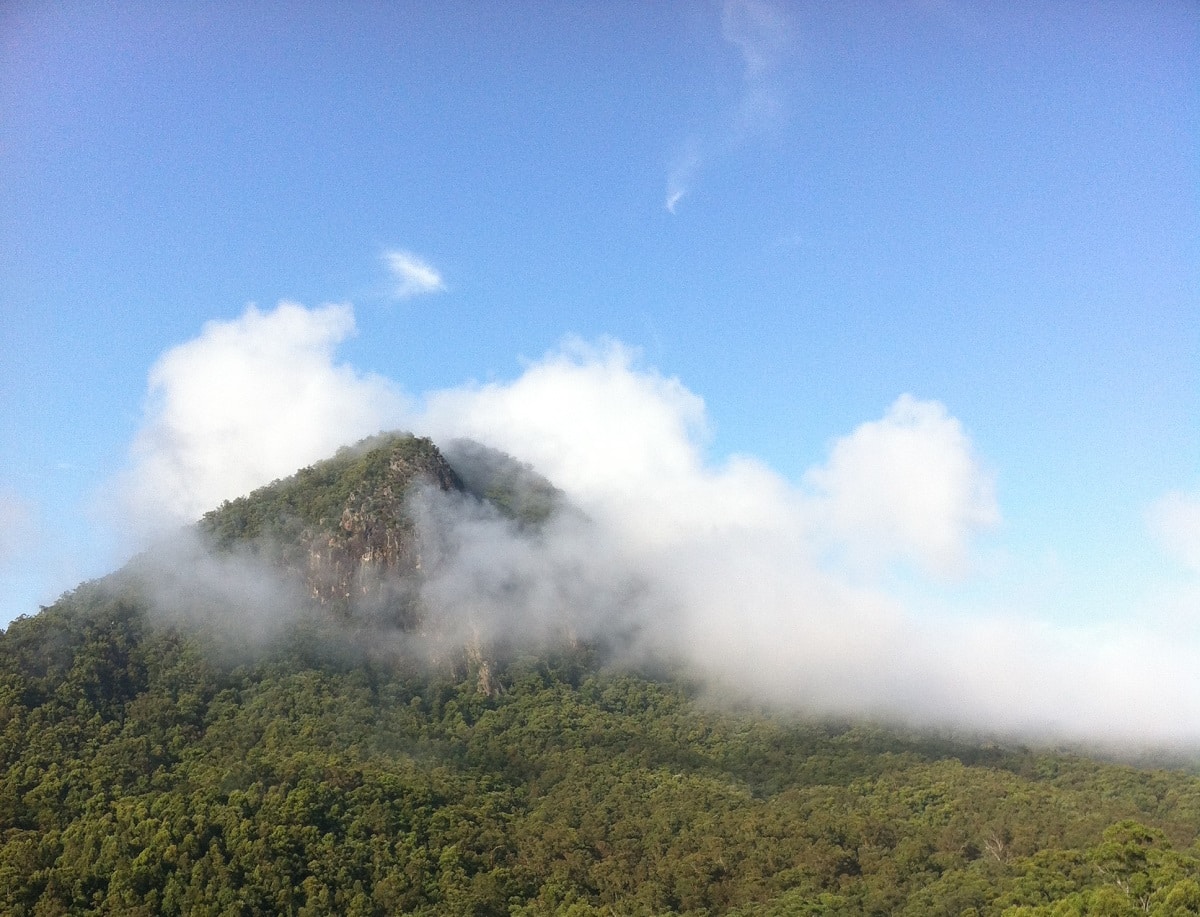 The Bower - Humane World for Animals