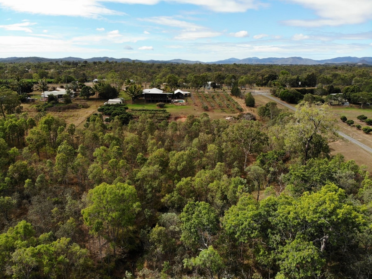 Bird's Heaven Mareeba - Humane World for Animals Australia