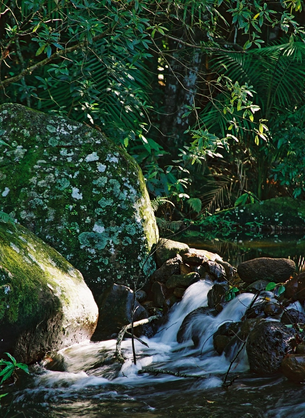 Rous Sanctuary - Humane World for Animals