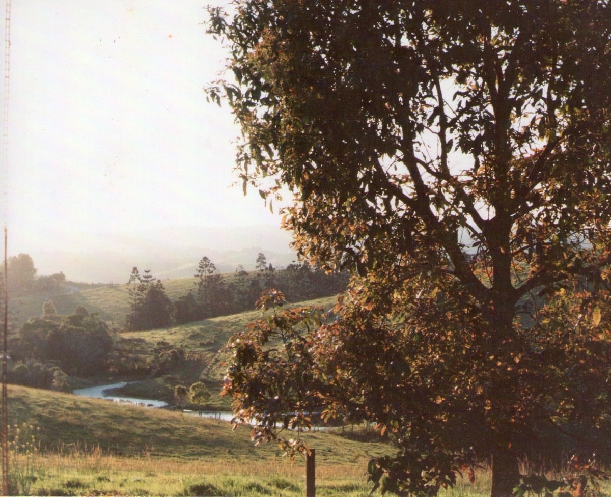 The Maples - Humane World for Animals