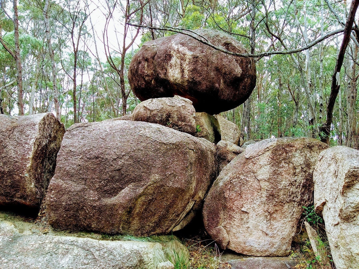 Ray's Rocks (Lamont) - Humane World for Animals Australia