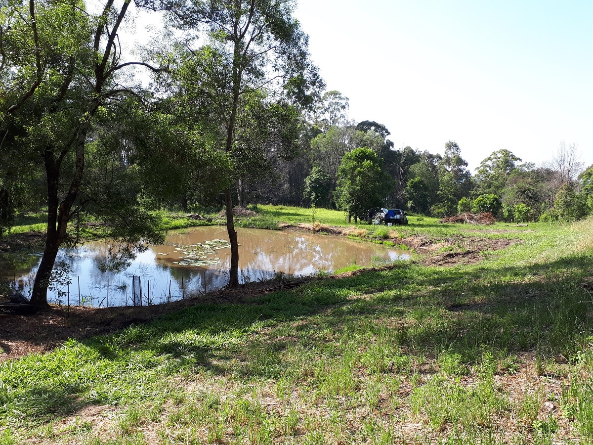 Five Figs Wildlife Sanctuary - Humane World for Animals Australia