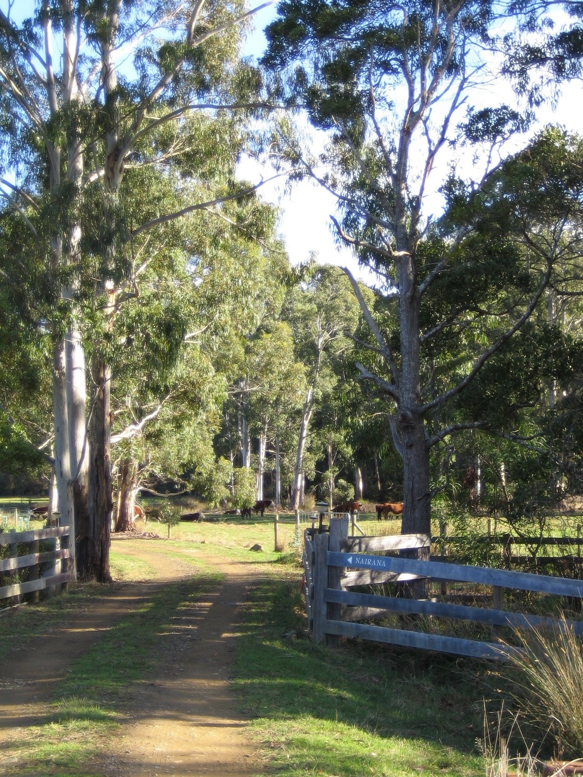 Inala - Humane World for Animals