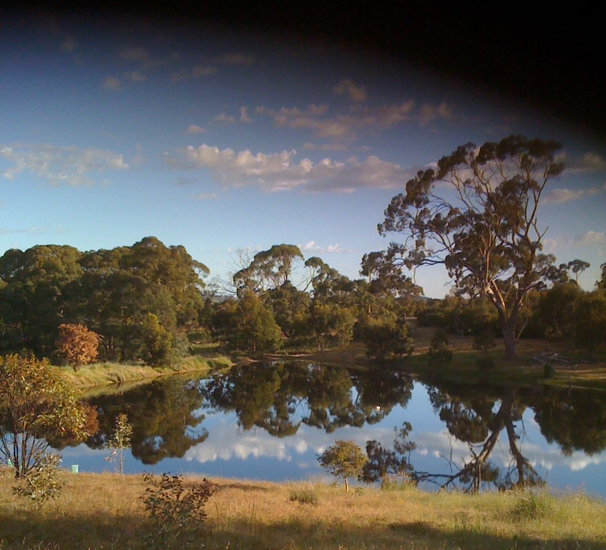 Wings Barossa Bird and Bush Retreat - Humane World for Animals
