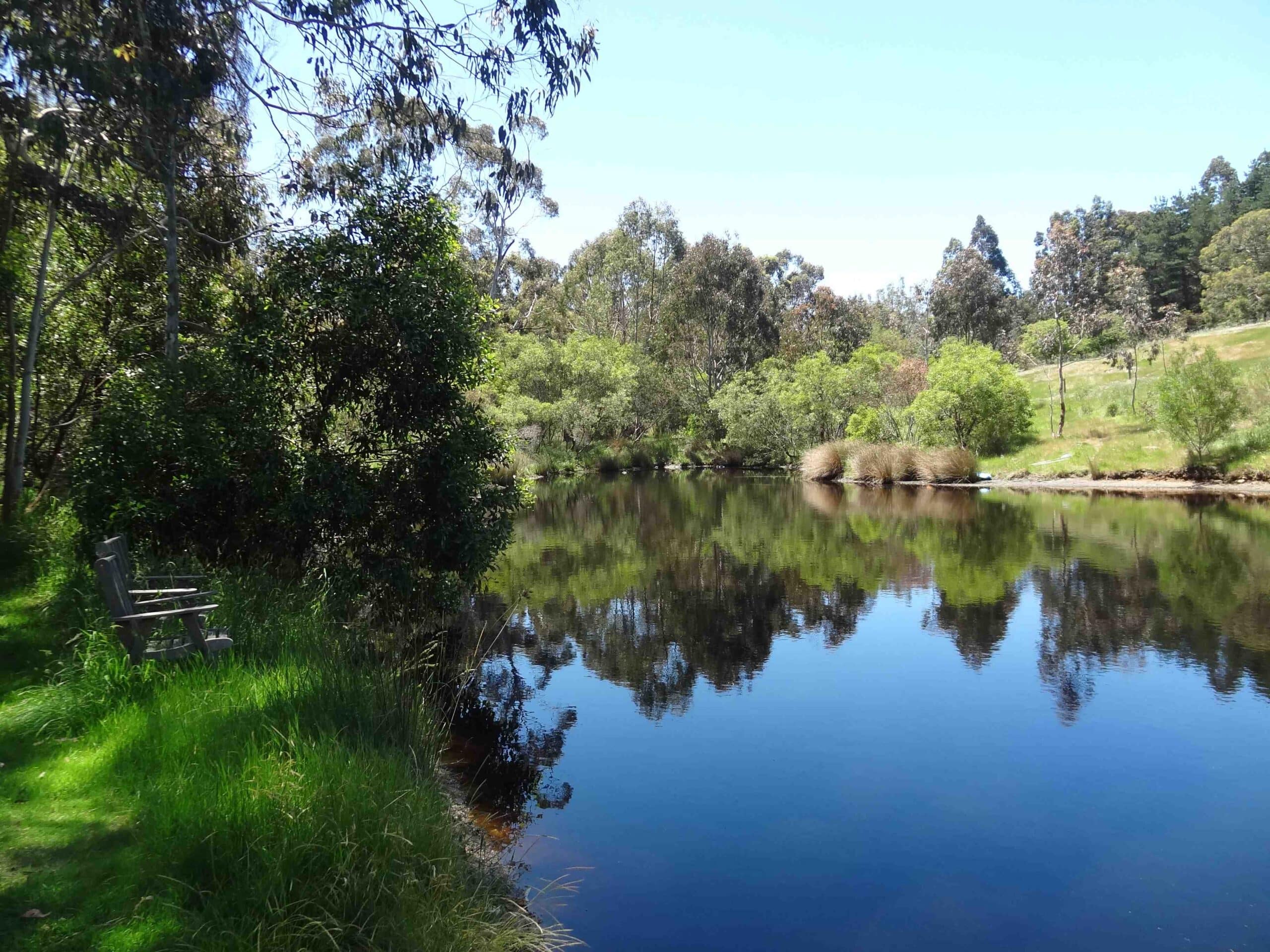 Aldgate Valley Refuge - Humane World for Animals Australia