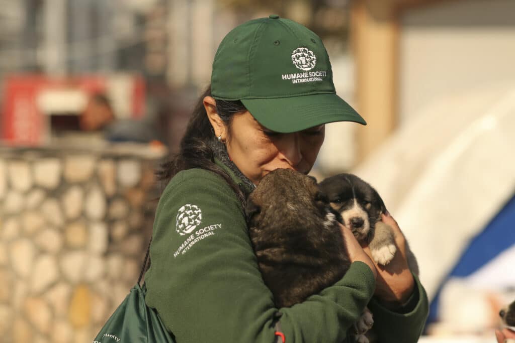 Donation checkout DEQK2302 Turkey - Humane World for Animals