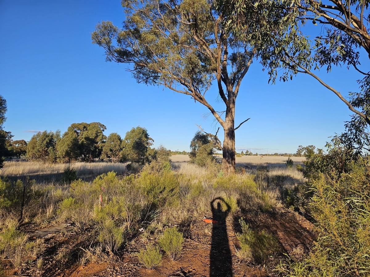 Lionel's Refuge - Humane World for Animals