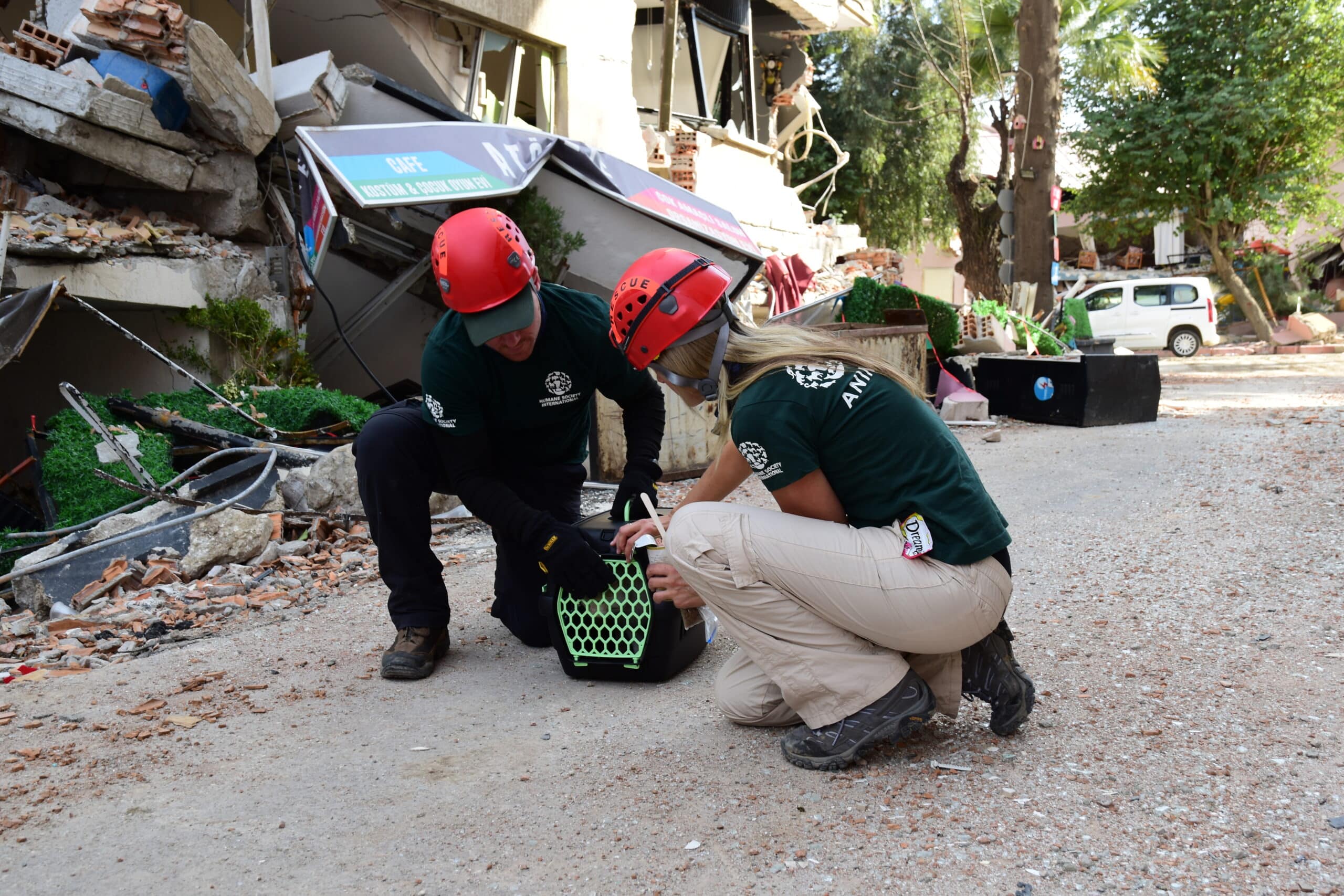 HSI Australia Türkiye earthquake response - Humane World for Animals
