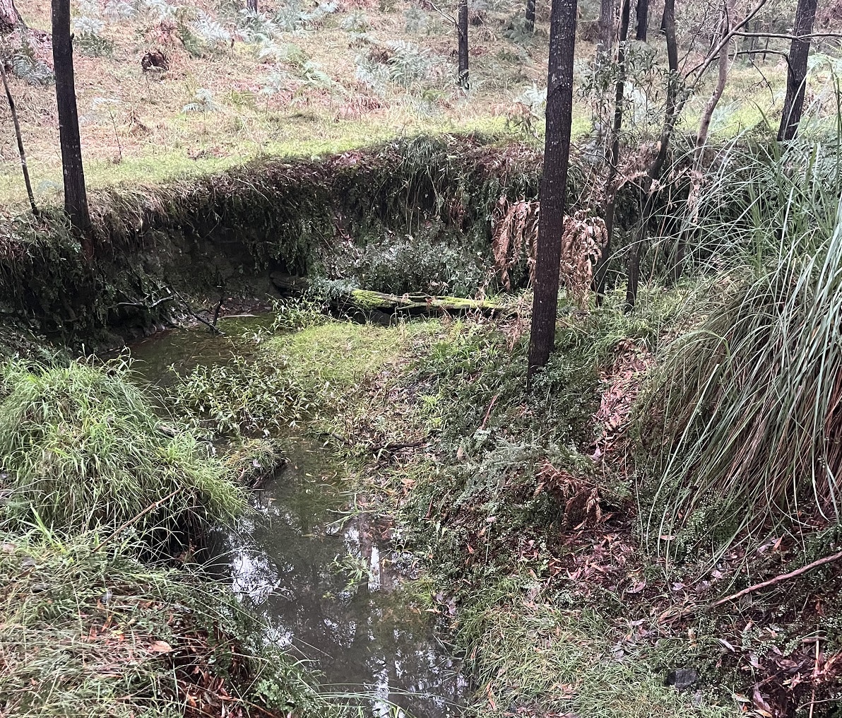 Mount George - Humane World for Animals