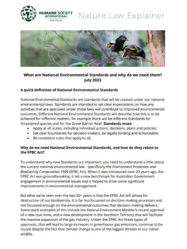 What are National Environmental Standards?