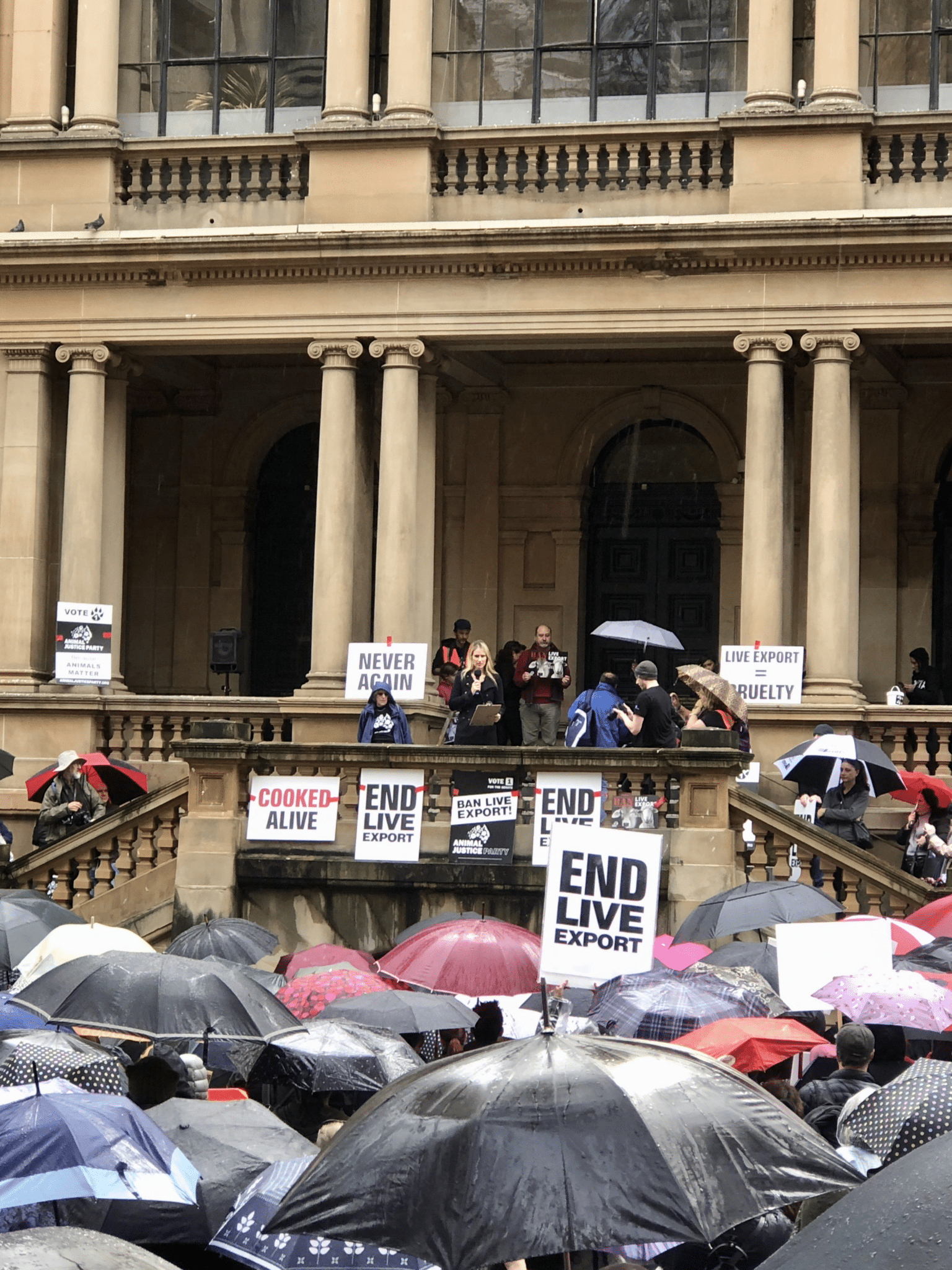 ABC 7:30 highlights live export cruelty