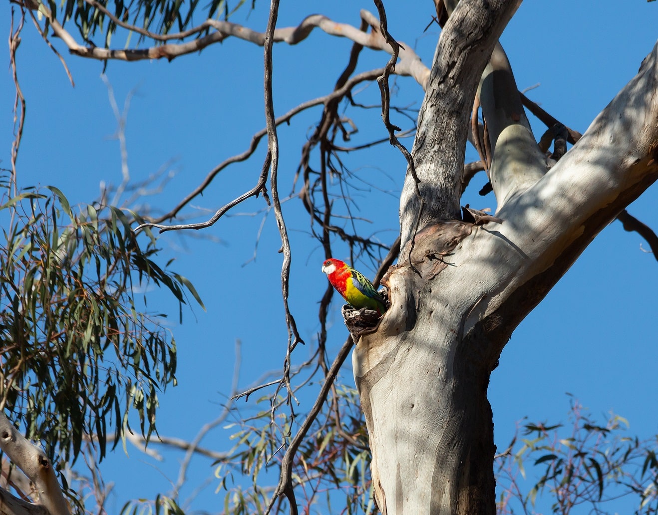 Milford - Humane World for Animals