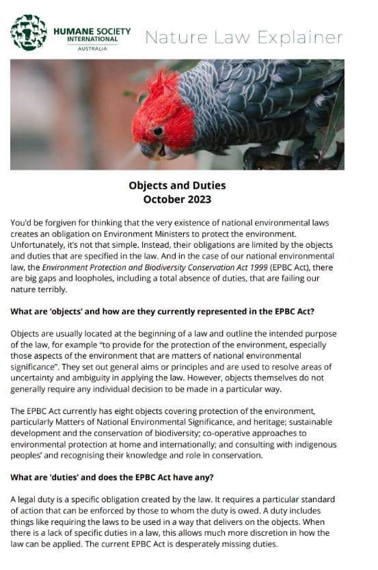 Nature Law Explainer: Objects and Duties - Humane World for Animals