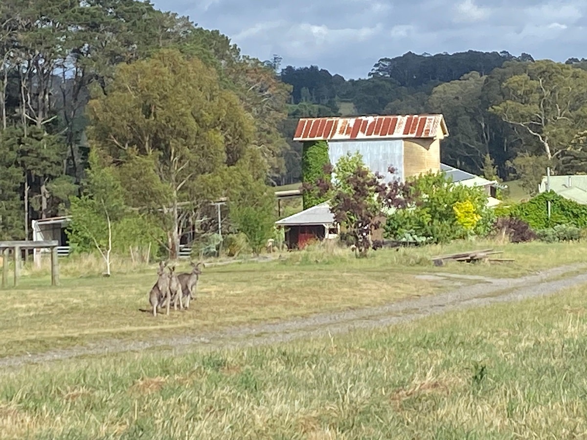Tumbling Downs - Humane Society International (HSI)