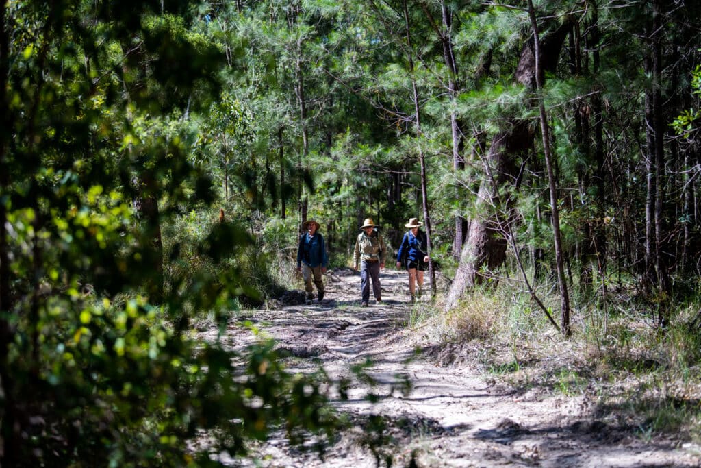 Banyula - Humane Society International (HSI)