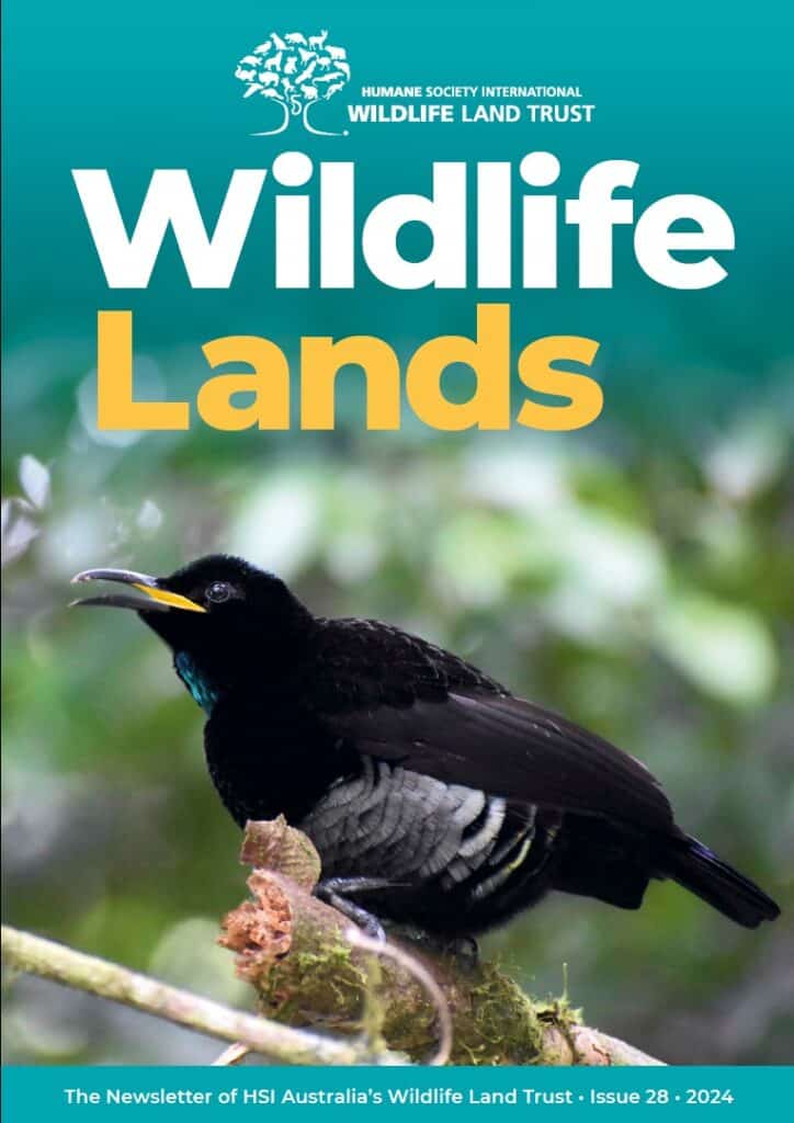 Wildlife Lands Issue 28 - Humane World for Animals Australia