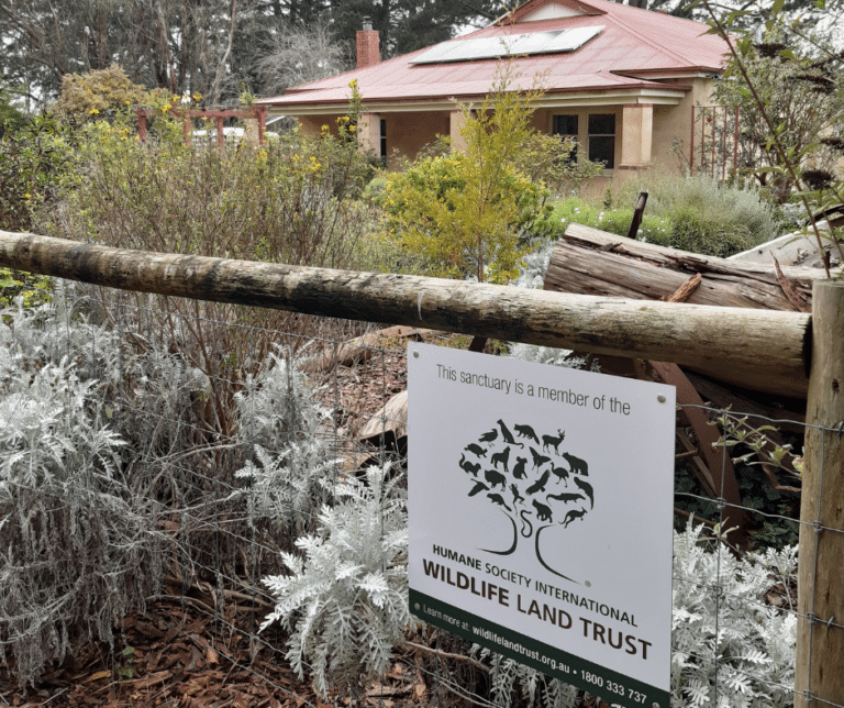 Community wildlife corridors: How South Australian residents are ...