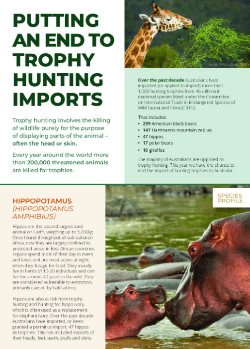 Putting an end to trophy hunting imports - Humane World for Animals ...