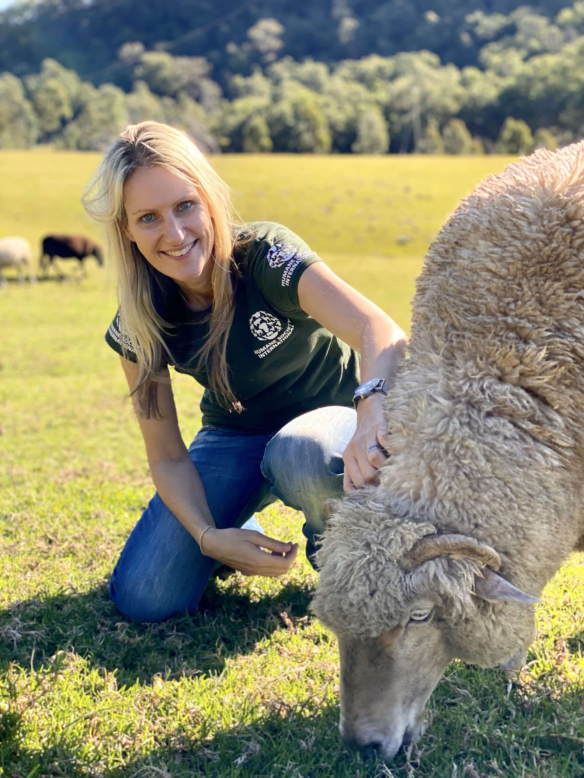 Live Lamb Cutting (mulesing) - A Q&A with Georgie Dolphin, Animal ...