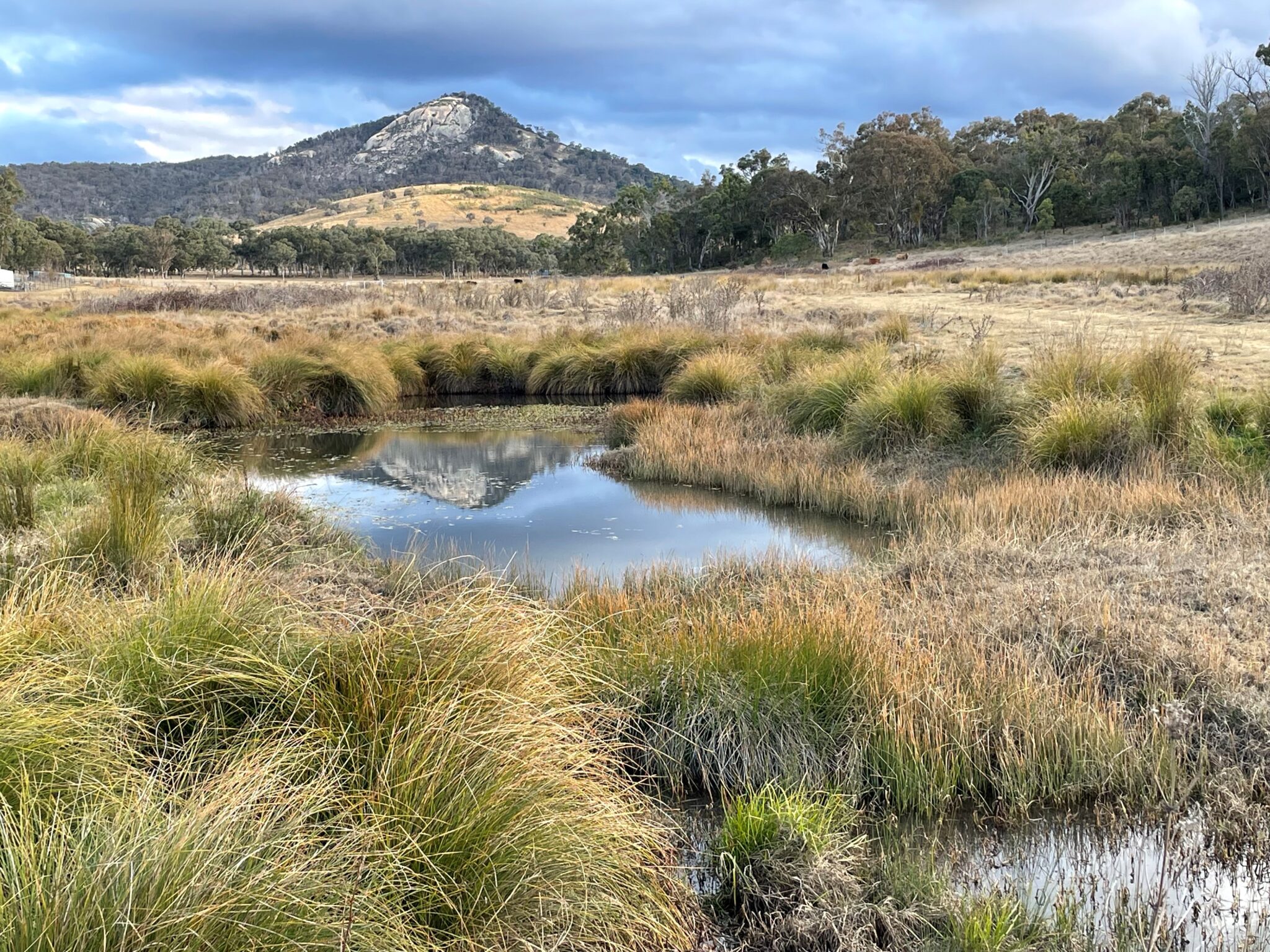 Nunyara - Humane World for Animals