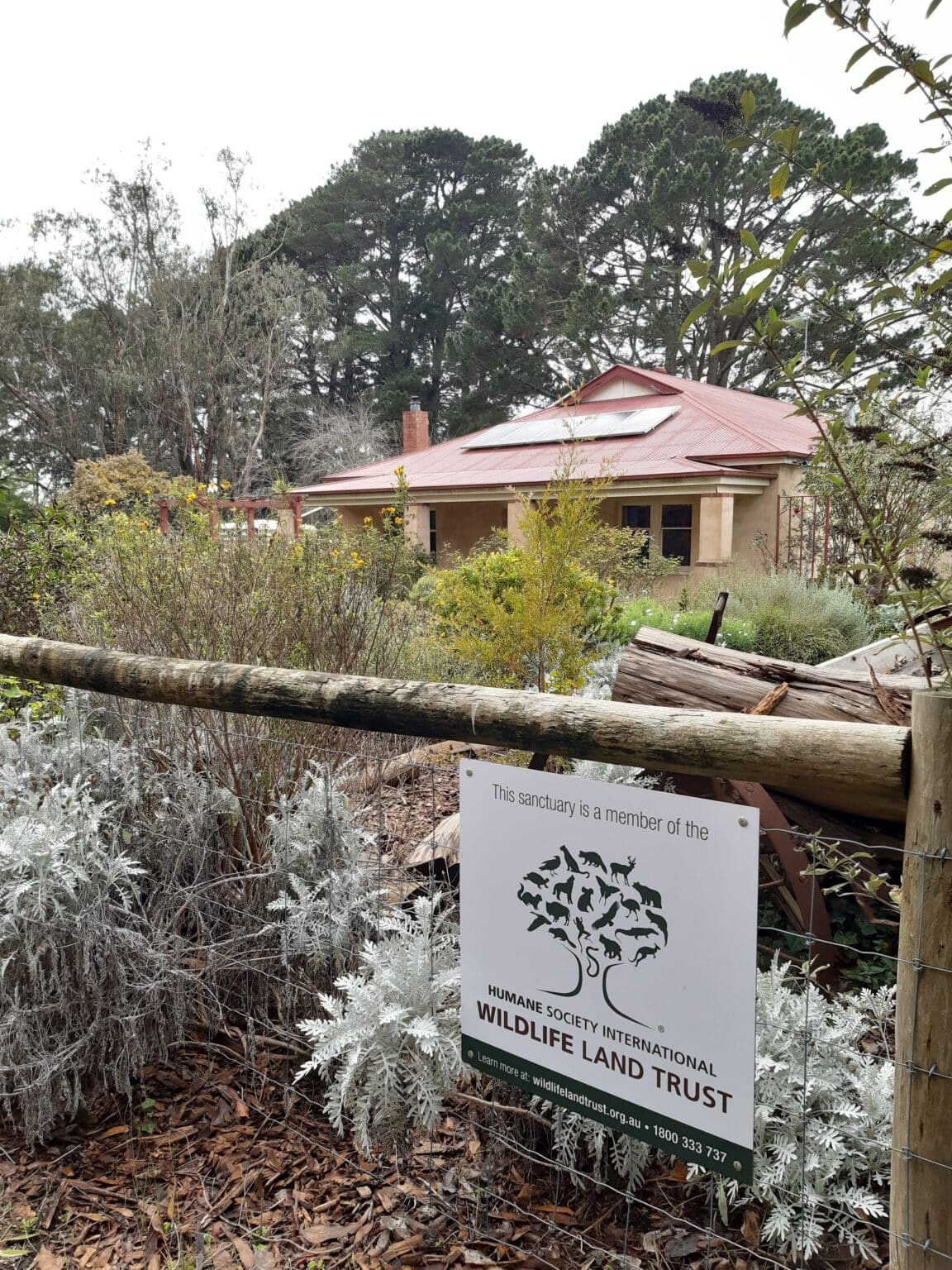 List your sanctuary - Humane World for Animals