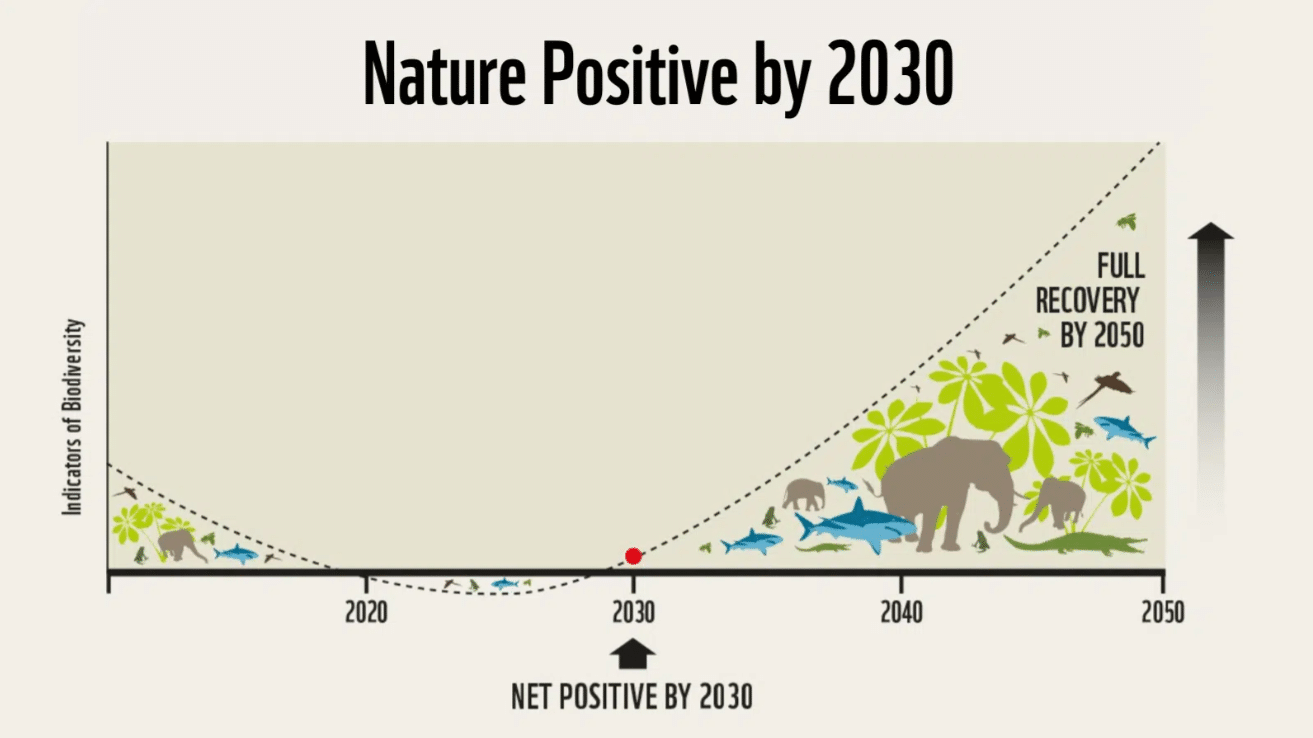 Nature Laws Explainer – What is ‘Nature Positive’? - Humane World for ...